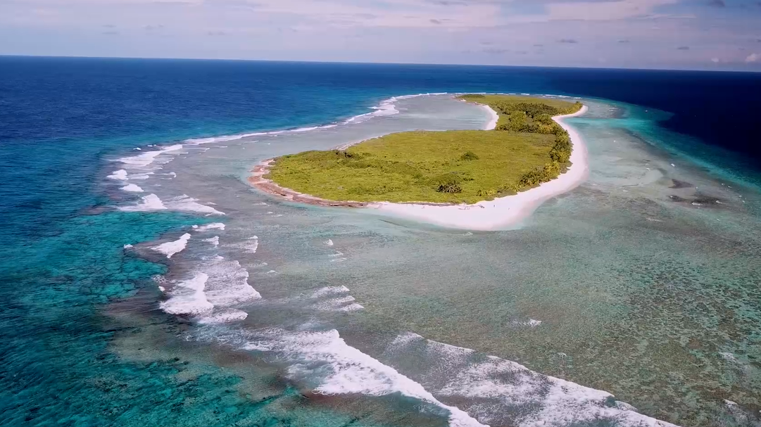 Species Eradication for Ecosystem Restoration - Marine.Science