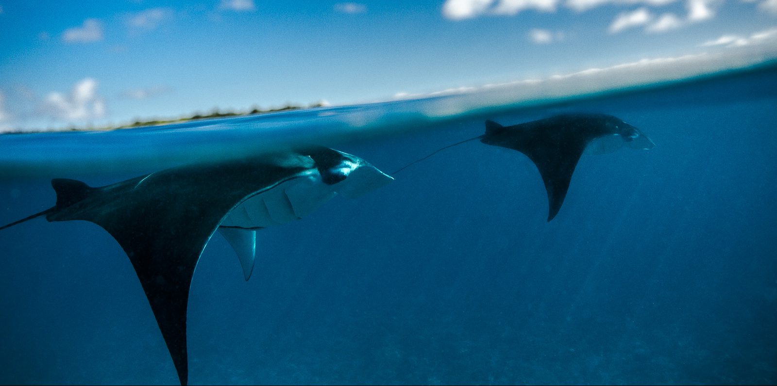 UN: Overfishing and Climate Change are Main Threats to Marine ...