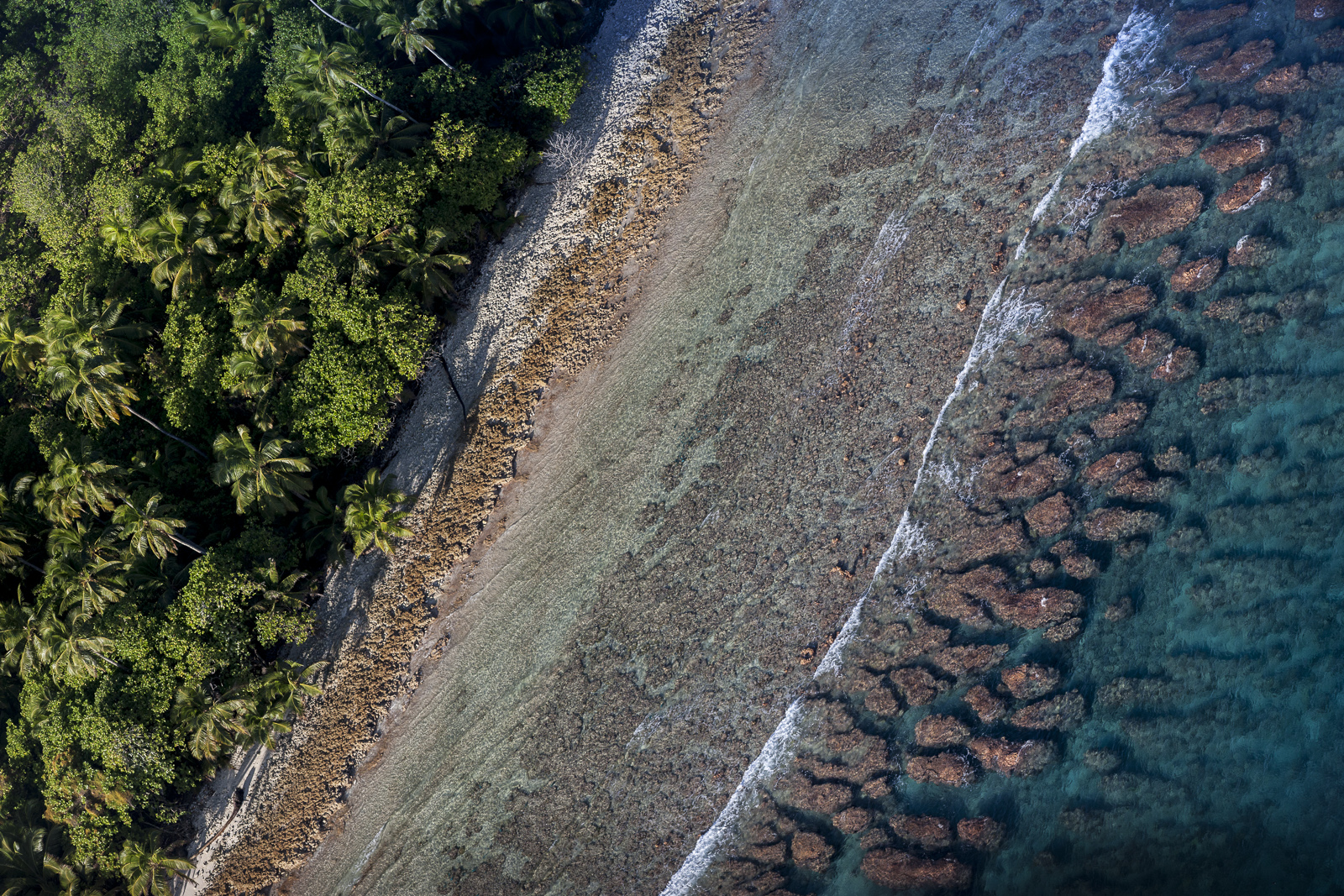 Webinar: Tackling Plastic Pollution in the Indian Ocean - Marine.Science
