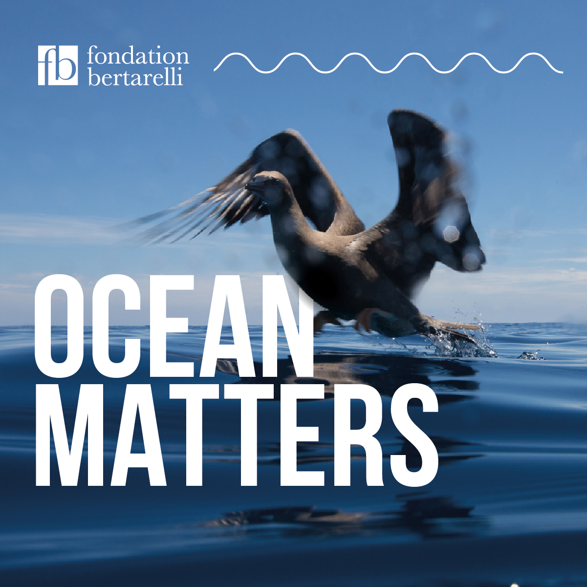 Podcast: Seabirds - Our Important Ocean Voyageurs - Marine.Science