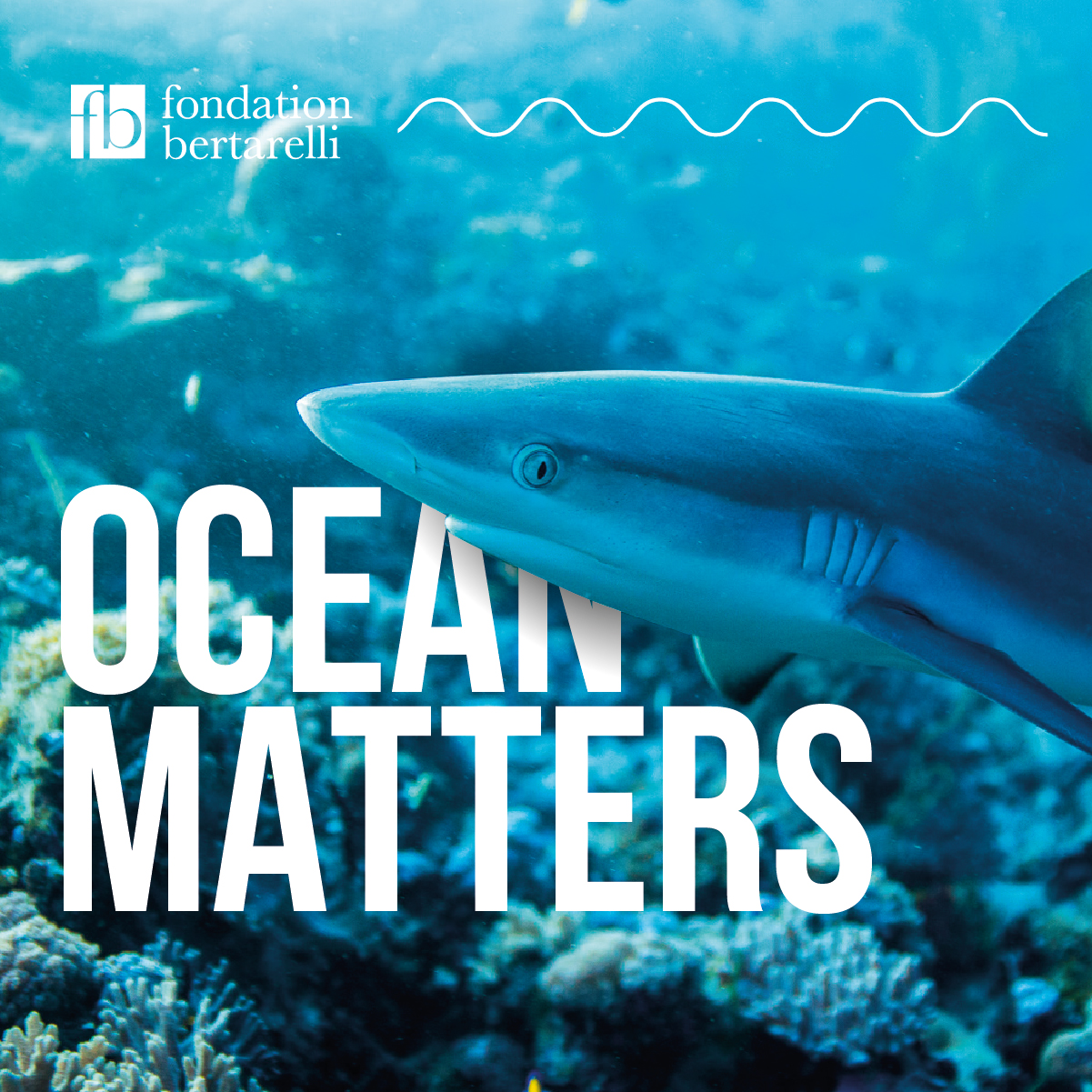 Podcast: Sharks – Masters of the Ocean - Marine.Science