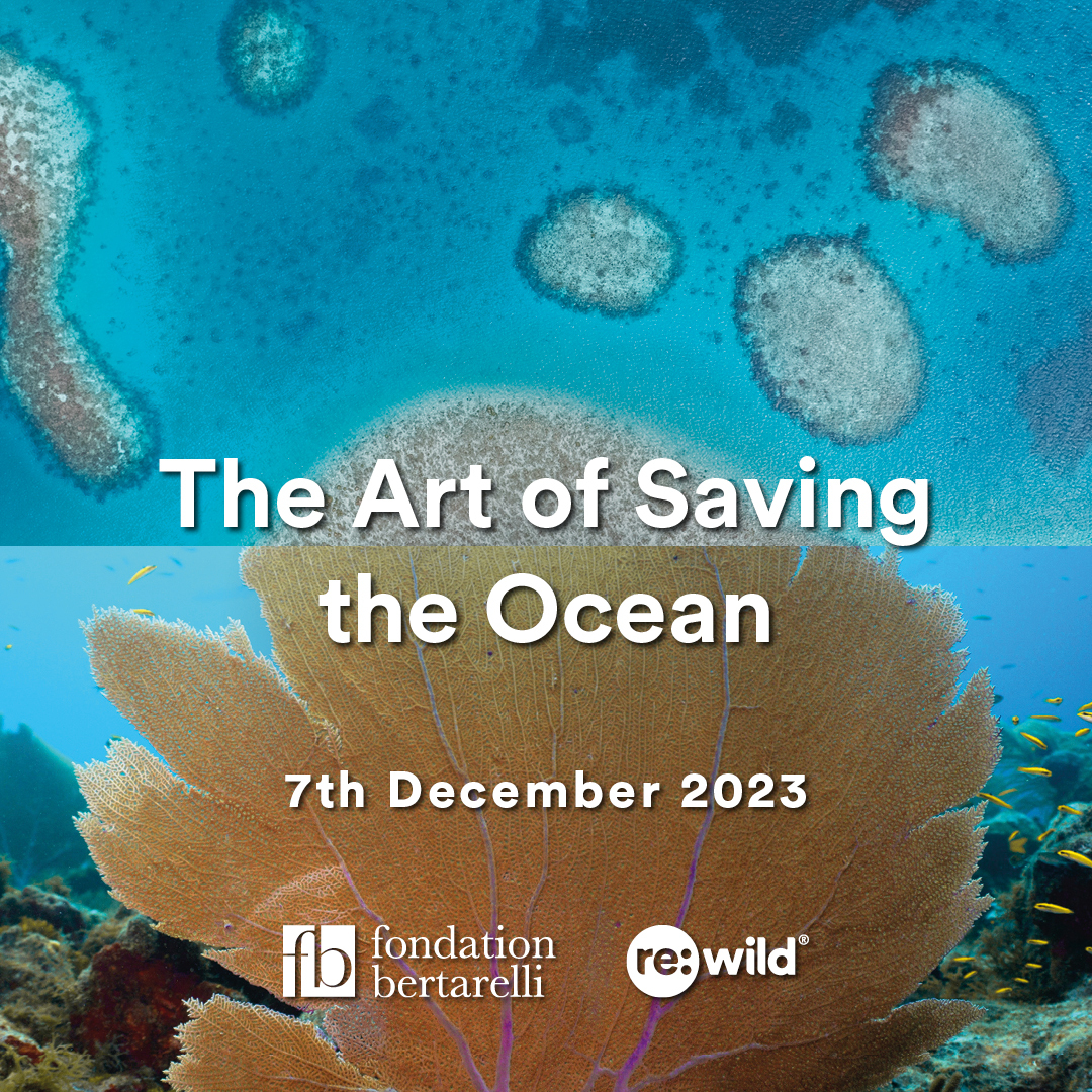 The Art of Saving the Ocean - Marine.Science